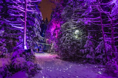 Illumination Du Sentier Pédestre 2025 à Saint Gabriel De Valcartier