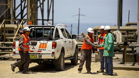 Engineering Assistance Consultation Martin Engineering