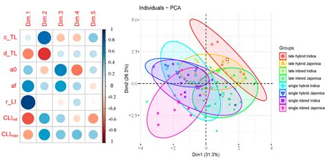 Agronomy Free Full Text Is It Possible To Predict The Timing Of Mid