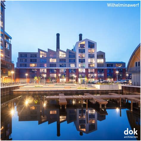 johan van dongen posted on linkedin