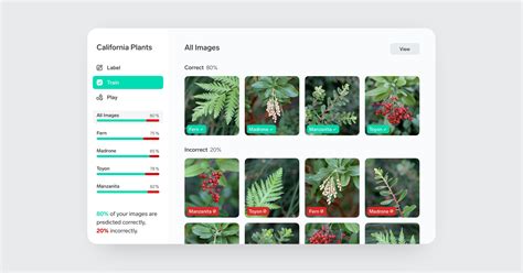 Make A Pi Trash Classifier With Ml 8 Steps With Pictures Instructables