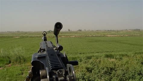 Intelligence Vs Information Do You Know The Difference