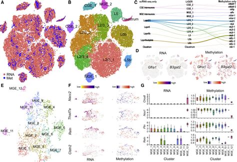 Single Cell Multi Omic Integration Compares And Contrasts Features Of
