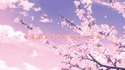Cherry Blossom S Download And Share