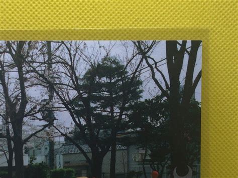 Dokodemo Issho Toro Inoue Post Card 2002 Sony Not For Sale Very Rare F