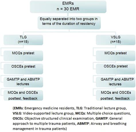 Group And Randomization Chart Download Scientific Diagram