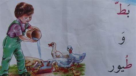 درس بط وطيور صف اول ابتدائي تهجي مرتضى علي Youtube