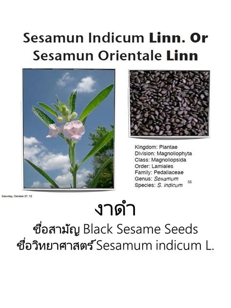 Contact Southcorner Barber