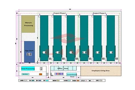 Chicken Farm Solution Of Layers And Broilers LIVI