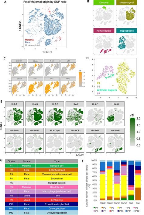Researchers Use Single Cell Rna Seq To Dissect The Cellular