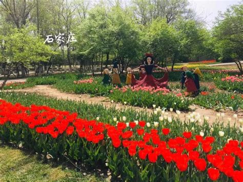 石家庄石家庄植物园游玩攻略简介石家庄石家庄植物园门票地址图片开放时间照片门票价格【携程攻略】