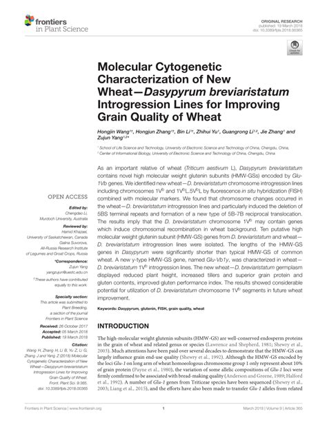 Pdf Molecular Cytogenetic Characterization Of New Wheat—dasypyrum