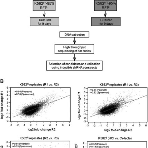 Experimental Design And Reproducibility A Flow Diagram Showing The