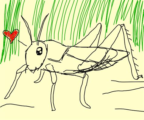 Cute Grasshopper Drawception