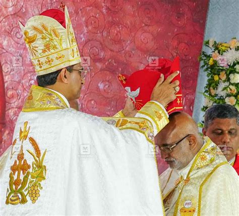 മേജർ ആർച്ച്ബിഷപ്പായി മാർ റാഫേൽ തട്ടിൽ ഇന്നു ചുമതലയേൽക്കും ചടങ്ങ് 2 30ന് സഭാ ആസ്ഥാനത്ത് Mar