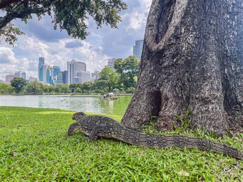 11 Free Things To Do In Bangkok