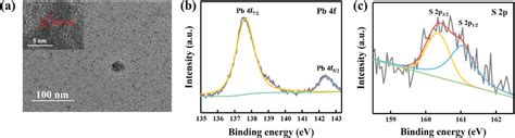 A A Characteristic Tem Image Of Pbs Qds The Illustration Above Download Scientific Diagram
