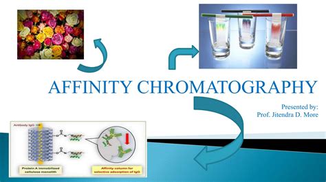 Affinity Chromatographypptx