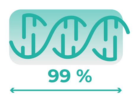 Entering The Era Of Dna Ids Will Dna Become An Integral Part Of Our