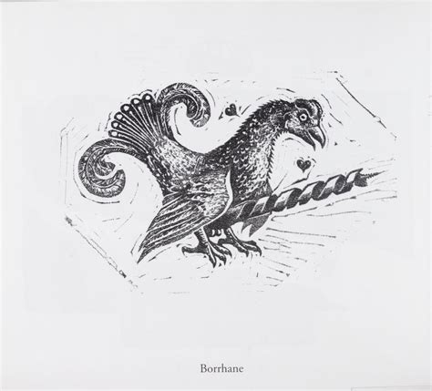 Rule 34 2000 Balls Beak Black And White Black Grouse Claws Drill