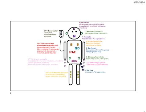 Chemo Man 525 Irae Immune Mediated Adverse Events Widespread