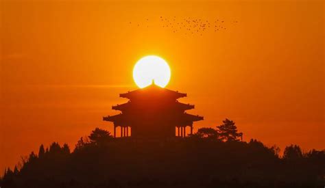 摄影师杨海 的最新大片