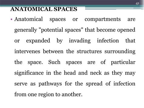 Surgical Anatomy Of Periodontal Structures Pptx