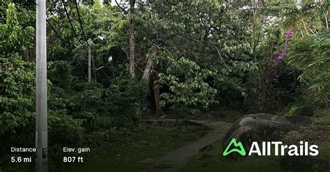 Kampung Nipah Paya Johor Malaysia 6 Reviews Map Alltrails