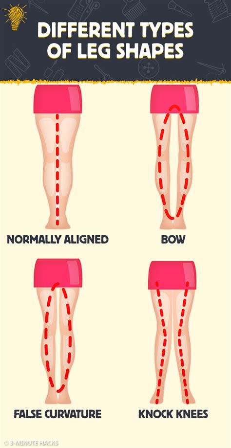 Bright Side Different Types Of Leg Shapes Facebook