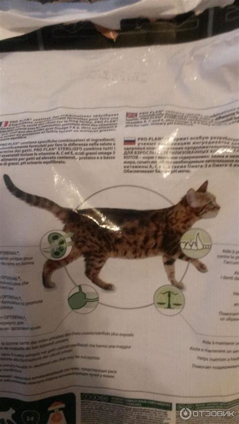 Отзыв о Корм для кошек ProPlan | Полностью доверяю этому корму