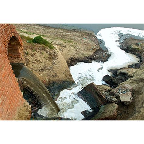 Water Quality Testing Project At Jordan Timperley Blog