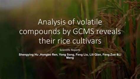 Analysis Of Volatile Compounds By Gcms Reveals Theirpptx