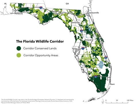 10 Facts About The Florida Wildlife Corridor The Invading Sea