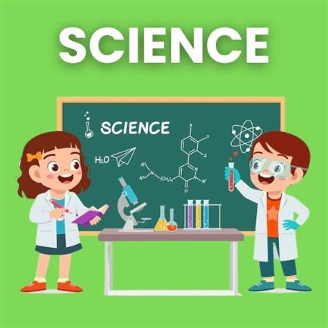 Year 4 Science Worksheets Notes And Pdf