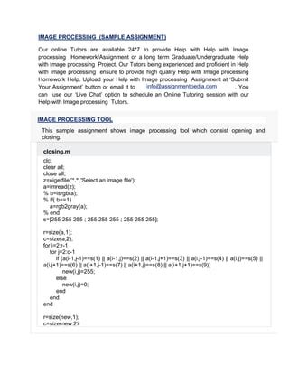 Image Processing Project Using Matlab PDF