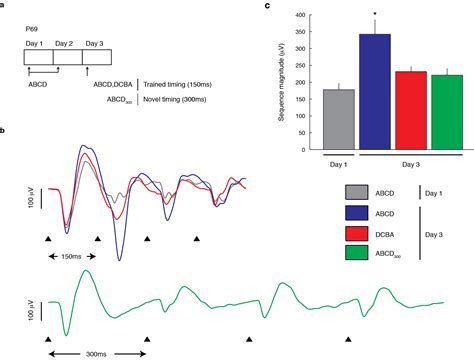Learned Spatiotemporal Sequence Recognition And Prediction In Primary Visual Cortex Abstract