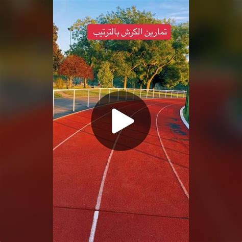 Tiktok · Musa Mohamad Twitter Image Coding