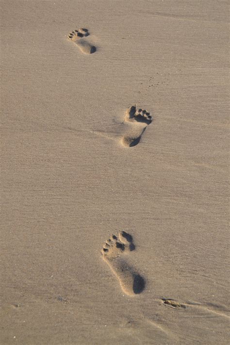 Footprints In The Sand Footsteps In The Sand Beach Painting Coastal Art