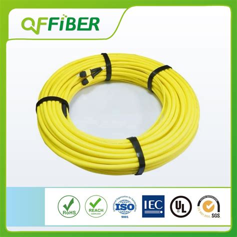 Indoor 12 Core Single Mode Os2 Fiber Opticoptical Mpo Mtp Trunk Patch