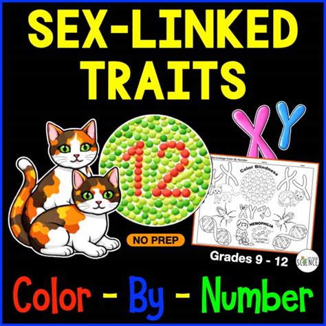 Sex Linked Traits Genetics Color By Number Activity By Amy Brown Science