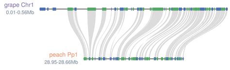使用jcvi进行mcscan共线性 Synteny 分析与可视化 Sci Tech Notes