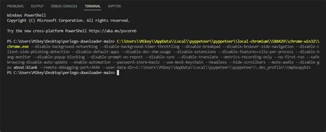 browser closed unexpectedly error · issue 9 · evmer perlego