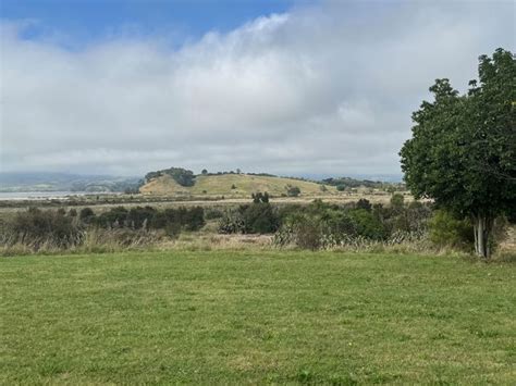 Archaeologists Important Role In Aucklands Regional Parks Ourauckland