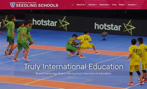 Seedling Schools Csslight