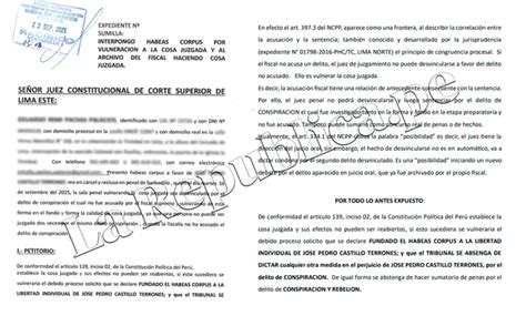 Pedro Castillo Presentan Nuevo Habeas Corpus Solicitando La Liberación