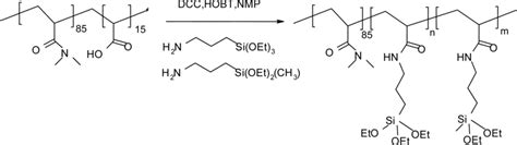 Scheme 2 Synthesis Of The Pdma Dm Tn Copolymers Download Scientific