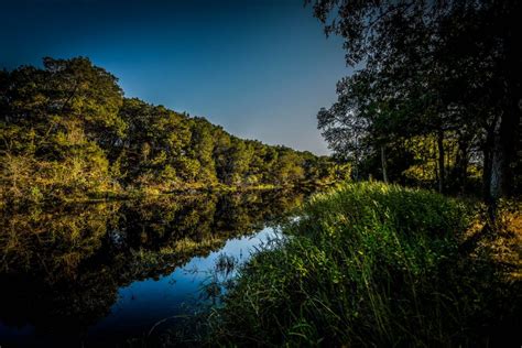 What Makes Oaks At San Gabriel Unique We Asked Amanda Lorimer