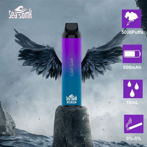 Vaporizers Wholesale E Liquid Disposable Vape Pen 5000 Puff Electronic