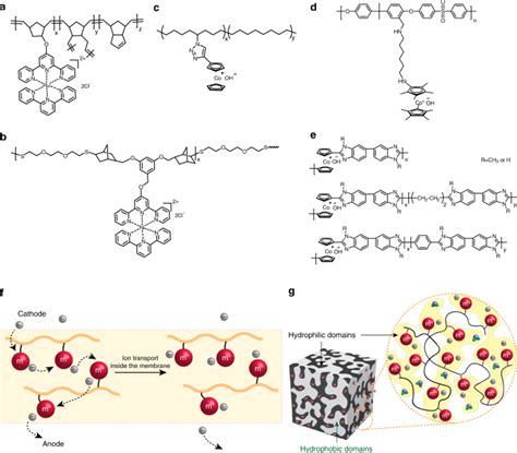 Metallo Polyelectrolytes As A Class Of Ionic Macromolecules For