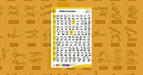 Roller Exercises Poster Prohealthsys Roller Exercises Poster Prohealthsys